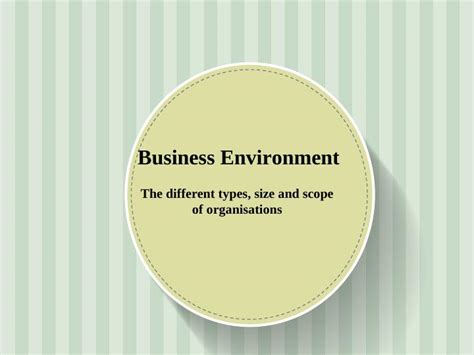 Business Environment Types Size And Scope Of Organisations