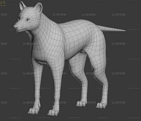 Ds Max Max Cg