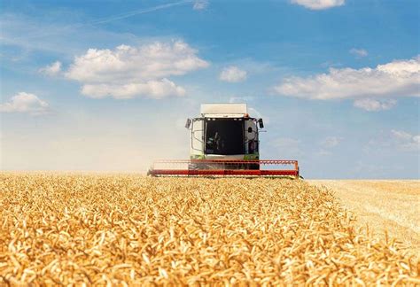 Arable Crop Production Estimates Published For 2023