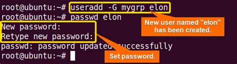 How To Create Group And Add User In Ubuntu Cases
