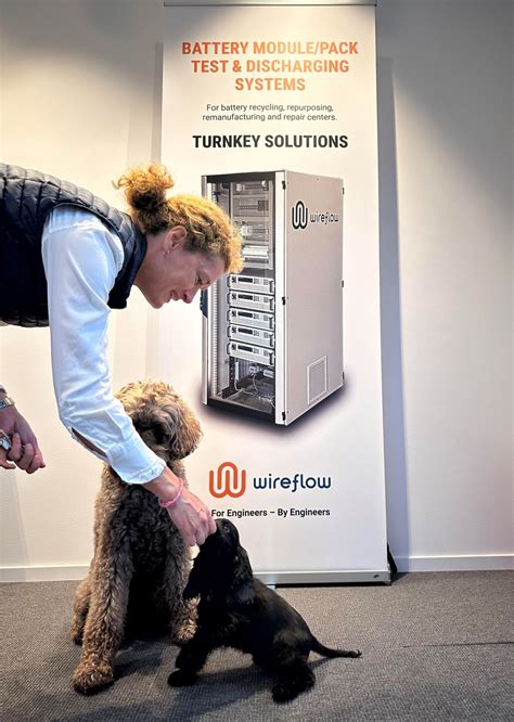 Wireflow Ab On Linkedin Wireflow Is A Great Place To Work Where