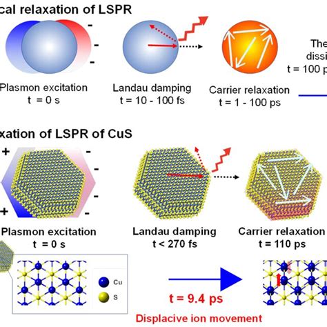 Lspr Relaxation Of Cus Ncs A Schematic Representation Of Ultrafast Download Scientific Diagram