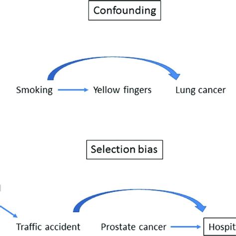 Illustration Of The Ecological Fallacy Hypothetical Example Of Download Scientific Diagram