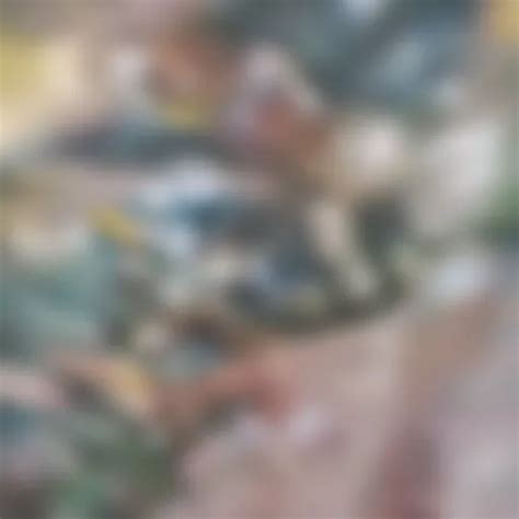 Understanding Earth Cycles An In Depth Exploration