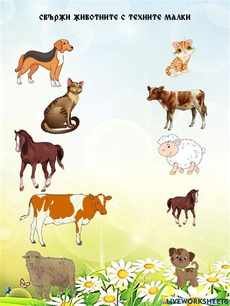 Домашните живот… Free Interactive Worksheets 1636738