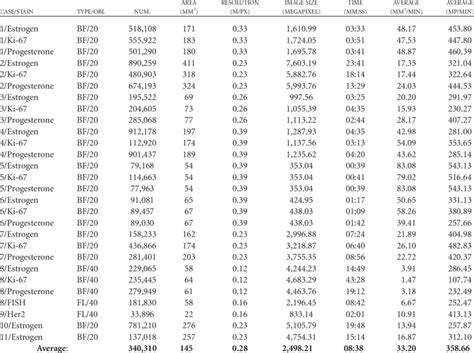 The Results Of Whole Slide Quantification Processes Bf Brightfield Download Table