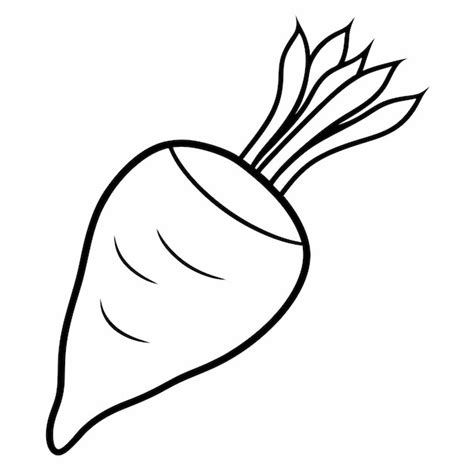 Parsnip Line Art Vector Outline Premium Ai Generated Vector