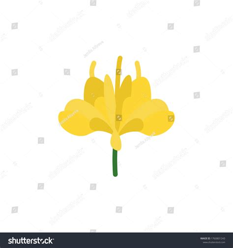Safflower Flower Icon Simple Color Vector Stock Vector Royalty Free