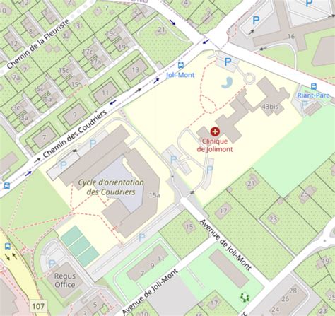 Correct Placement Of Leisurepark · Issue 273 · Baremapsopenstreetmap