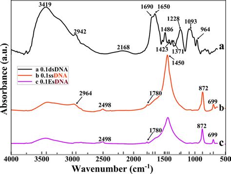 Ftir Spectra Of A Bare Dna B Ssdna And C 01esdna At 4000500 Cm