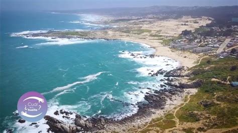 Seco Mi Primo Susana Vanessa Collao Abarca