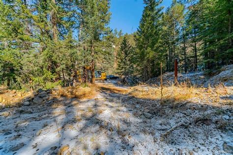 1150 fall river rd idaho springs co 80452 mls rec8063460