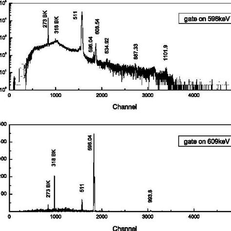 block diagram of data acquisition system used in coincidence spectrum