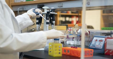 Understanding Your Lab Values And Other CKD Health Numbers National Kidney Foundation