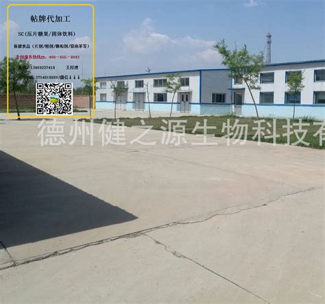 保健品OEM 菊花胖大海袋泡茶贴牌代工 德州健之源