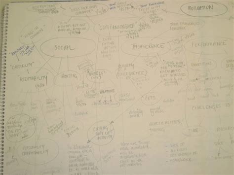 Hand Drawn Raw Data Download Scientific Diagram