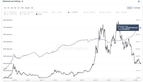 Crypto Team Build Investors Continue Buying Bitcoin Dip As Price