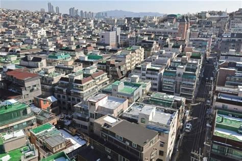 전세보다 더 무서워100만원에 눈물 훔치는 청년들