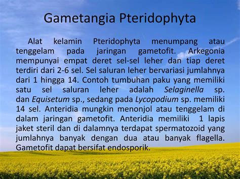 Ppt Embriologi Tumbuhan Pteridophyta Ppt