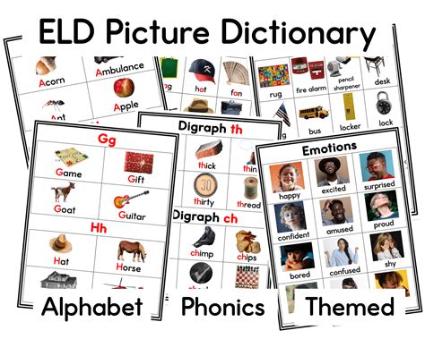 Using A Picture Dictionary With Mls A World Of Language Learners