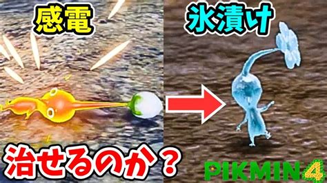 状態異常は頭を冷やせば何でも治せるのかピクミン4 YouTube