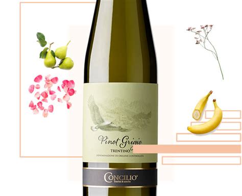 Concilio Pinot Grigio Trentino