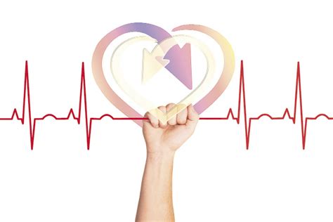 Febbraio è il mese della prevenzione delle malattie cardiovascolari Corriere d Italia