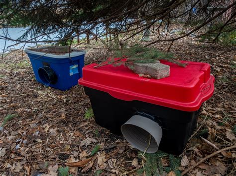 How To Build An Outdoor Cat Shelter A Safe Haven For Feline Friends