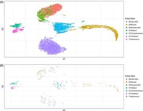 uniform manifold approximation and projection of the test set based on
