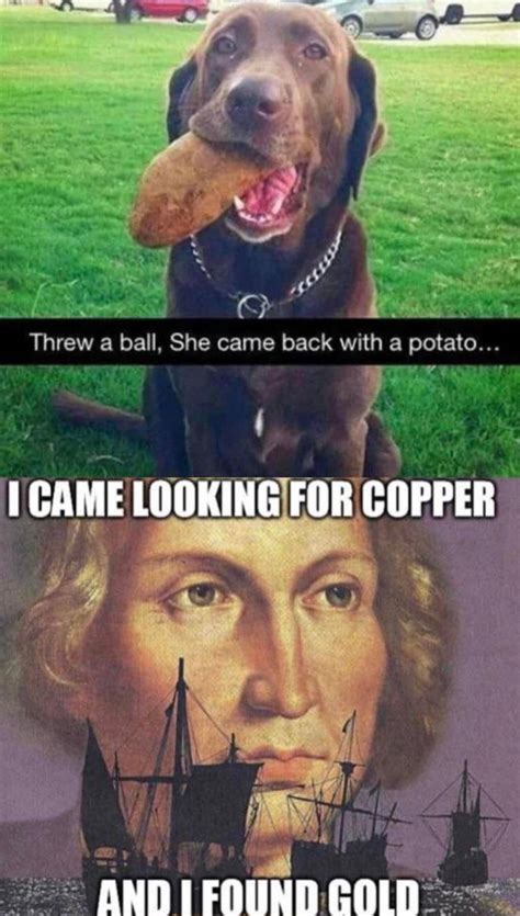 Tater Tots Scrolller