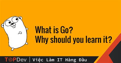 Golang Là Gì Và Tại Sao Bạn Nên Học Go Topdev