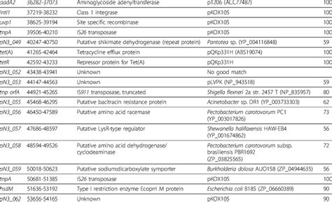 Positions And Putative Functions Of Open Reading Frames Identified In Download Table