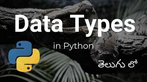 Python Data Types In Telugu What Are Data Types In Python Datatypes Datatypesinpython
