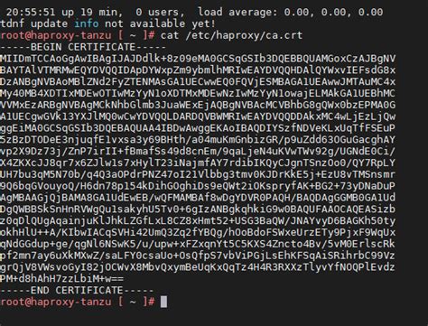 Implementing Tanzu In Vsphere 7u1 Part 1 Pre Requisites And Haproxy