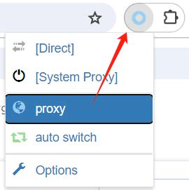 How To Set Up SOCKS5 Proxy On Switchy Omega