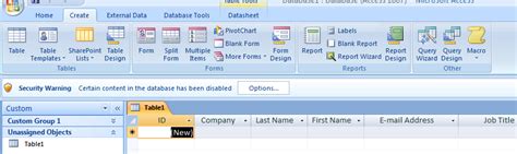 Ribbon In Microsoft Access 2007