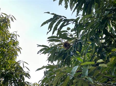 가을 데이트 공주로 떠나는 나만의 작은 마을 여행 후기 네이버 블로그