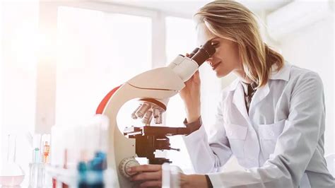 Faculdade EAD lista dos cursos de graduação a distância