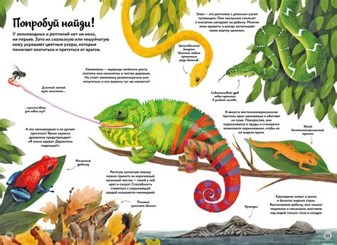 Купить книгу «Большая книга о природе в картинках», Камилла де ла ...