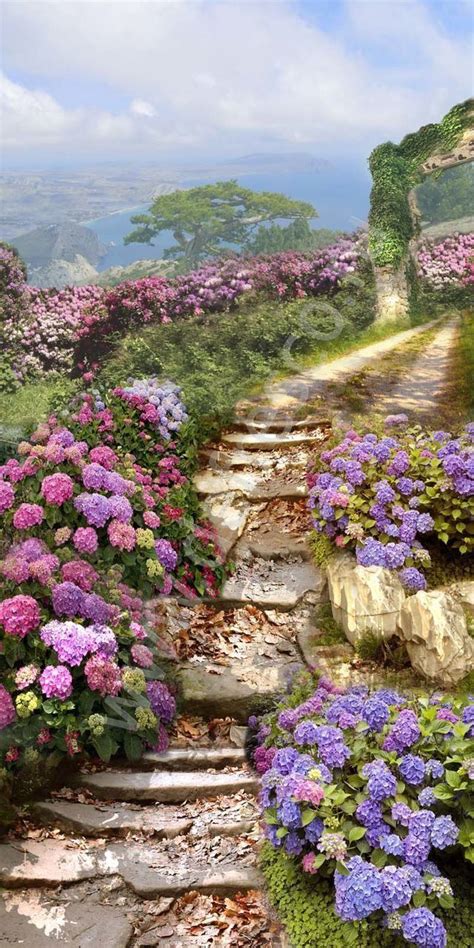 Старинные Улочки | Beautiful gardens, Beautiful nature, Flower landscape