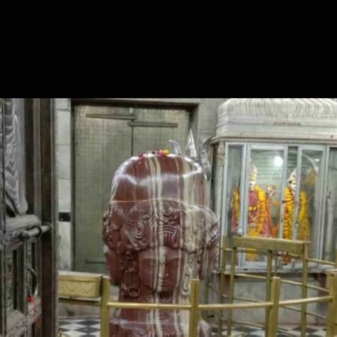 Shuchi Gupta Youtube