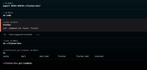 Zsh Flutter Doesnt Execute From The Path Stack Overflow