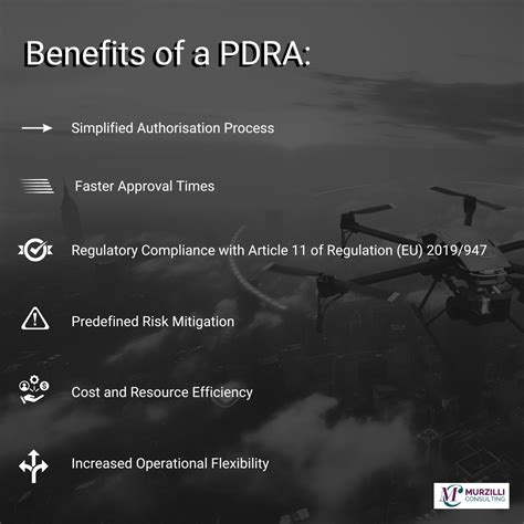 Murzilli Consultings Guide To Pdra Predefined Risk Assess