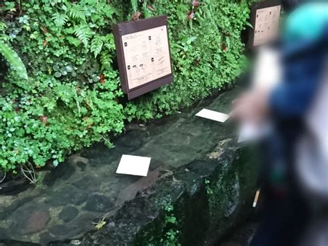 貴船神社のご利益がすごい｜縁結び・縁切り・復縁も叶う恋の三社 はちきnet