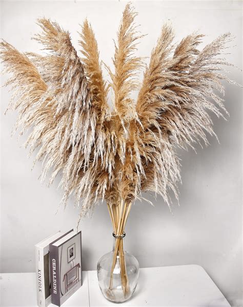 40 Inch 10 Stems Pampas Grass Decor Tall Dried Plants Natural Dried Flowers For Wedding