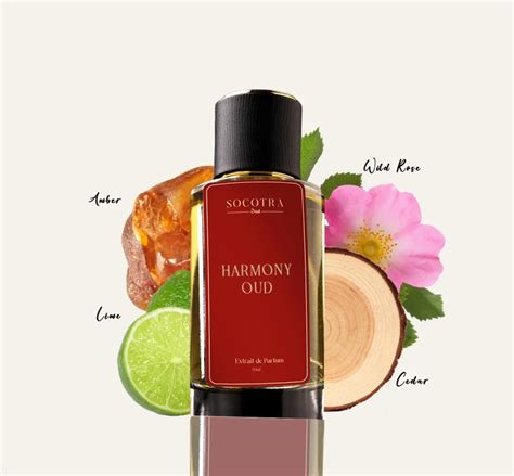 Unveiling The Allure Of Oud Perfume In The Uk A Comprehensive Guide