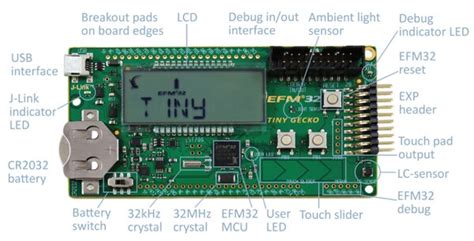 Tiny Geckos Display Small Energy Footprint Digikey
