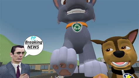 Paw Patrol News By Matx007 On Deviantart