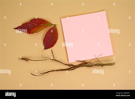Blank T Card With Dry Branches And Autumn Leaves Kraft Memo Pad