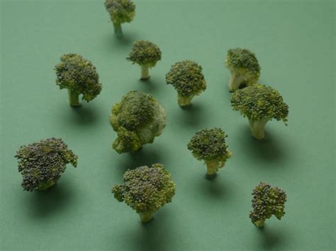 Circular Value Chains Ecosystems And People Makertech Com